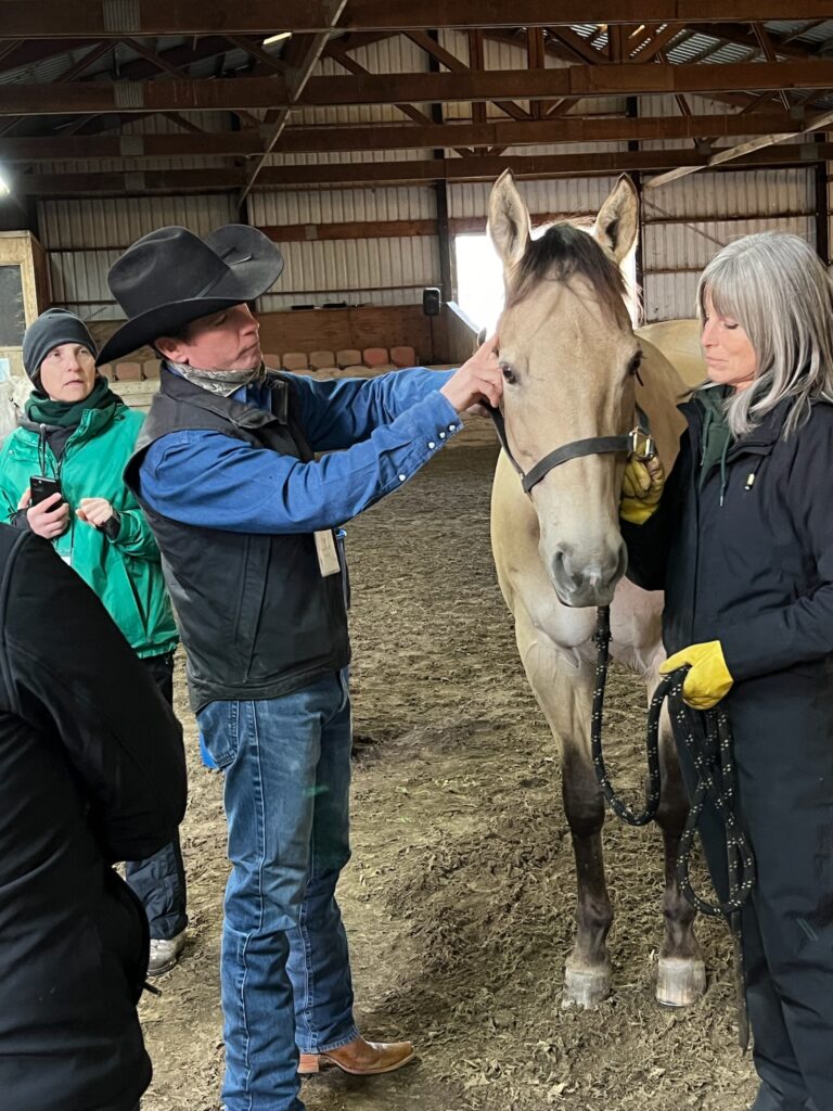 IVAS Re-visit Program - IVAS