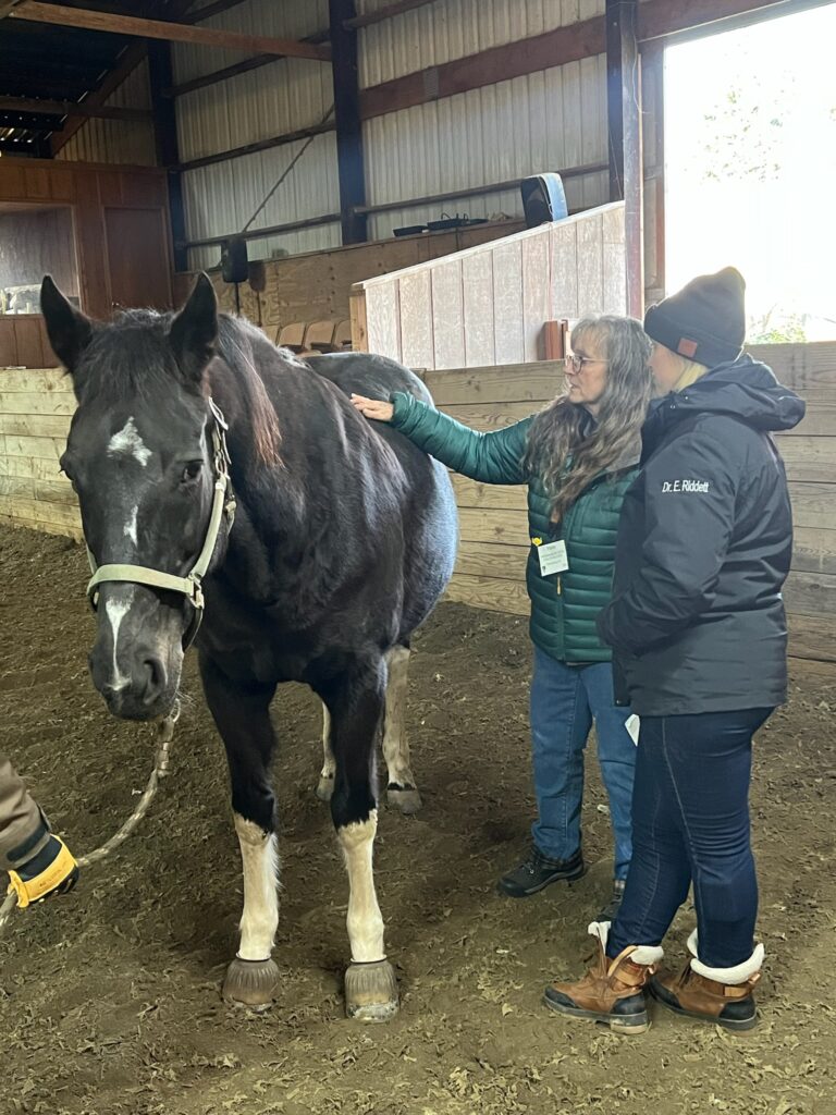 IVAS Re-visit Program - IVAS